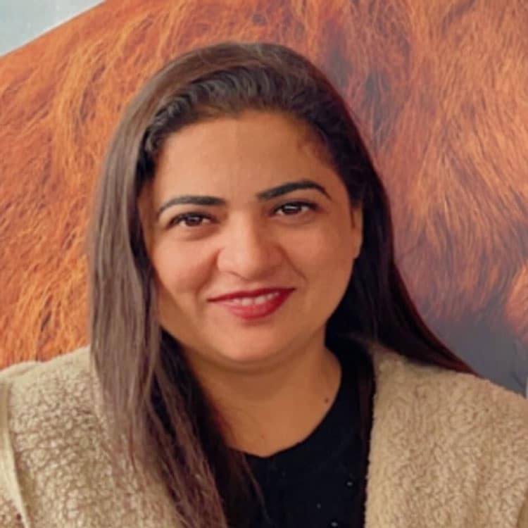 Our Team - IDE Interactive